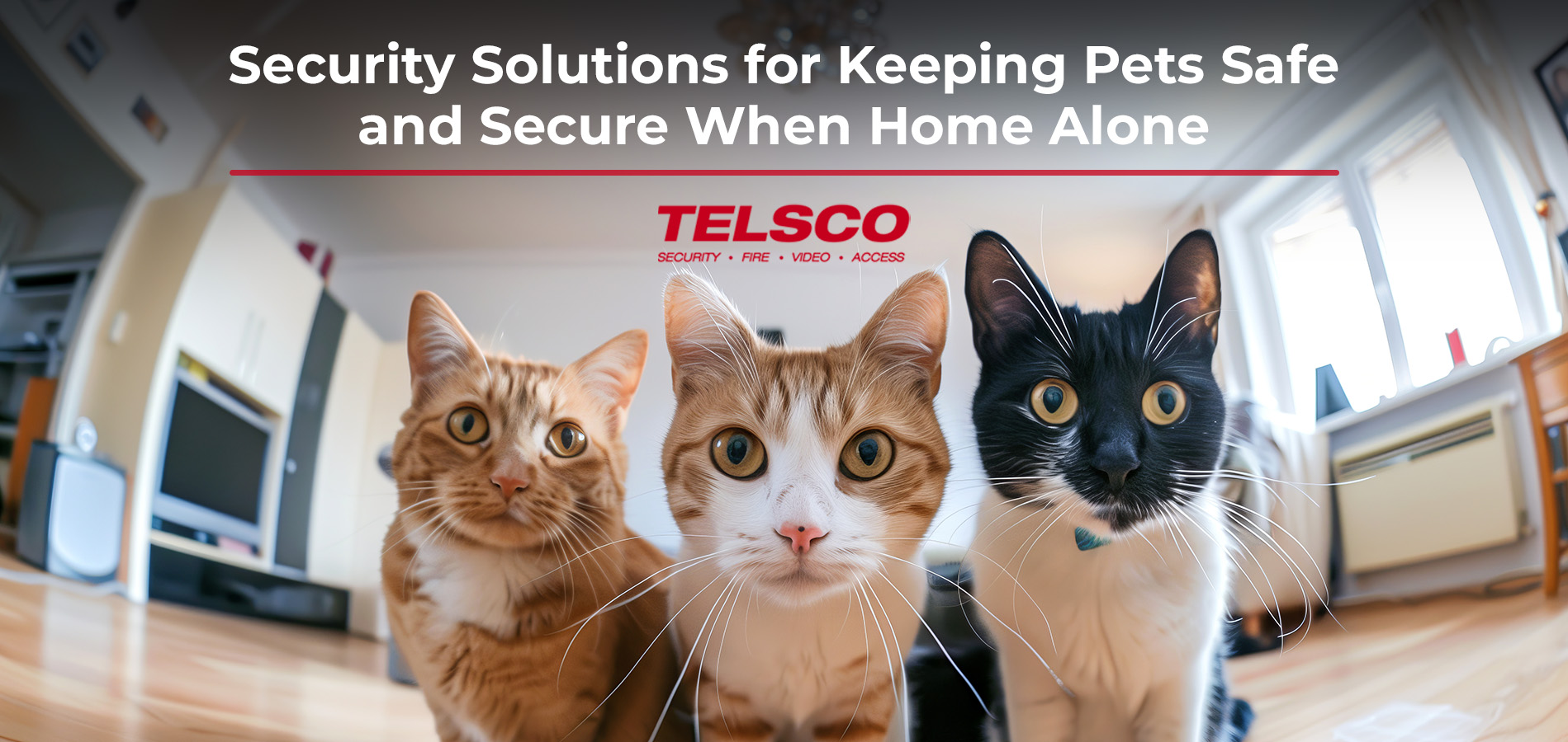 Security Solutions for Keeping Pets Safe and Secure When Home Alone ...